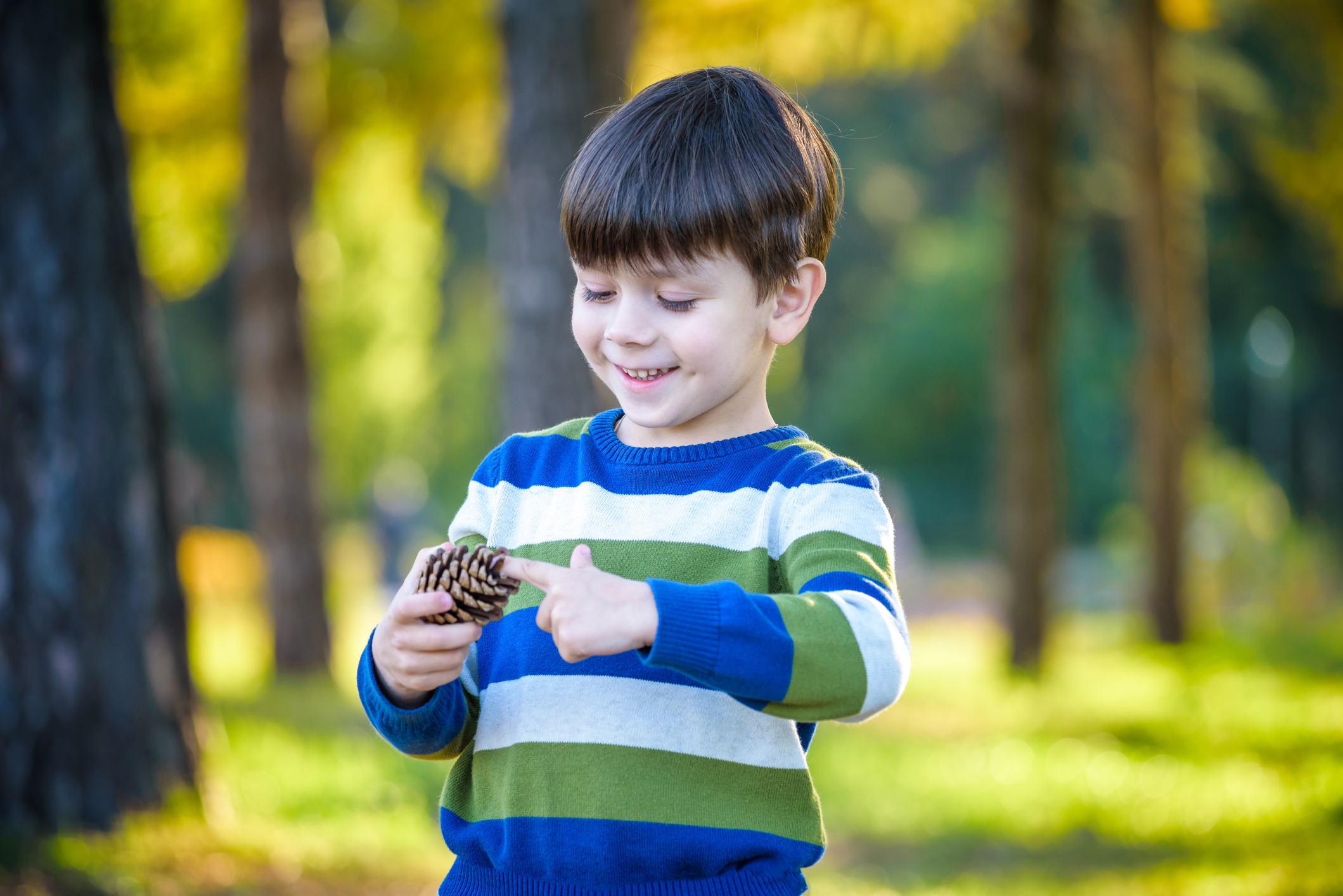 For the Love of Pinecones! - Open Air Learning